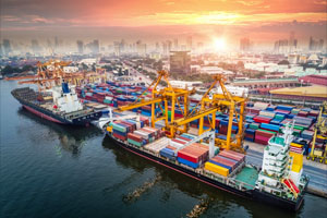 Lost at sea: how shipping container pollution affects the environment ...